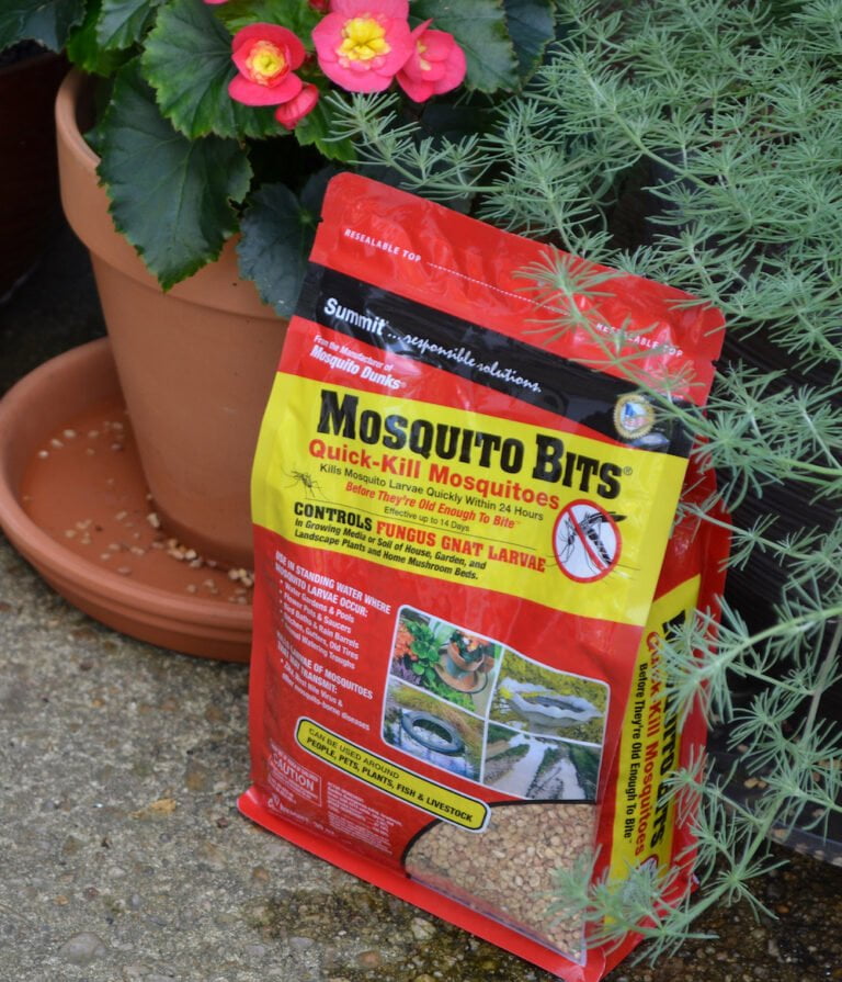 You Can Use Mosquito Bits® to Control Fungus Gnats - Summit ...