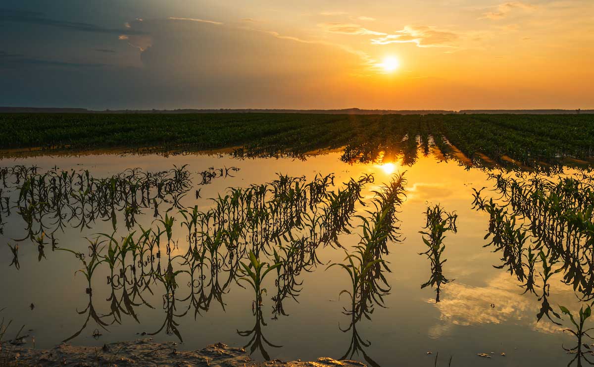 From Mosquito Control to Sustainable Agriculture - Summit® Responsible ...